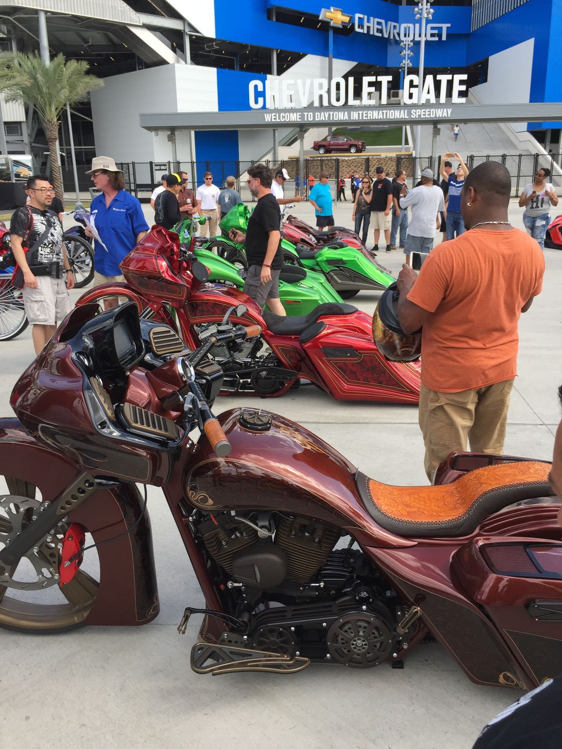 Harley davidson daytona - wilefone